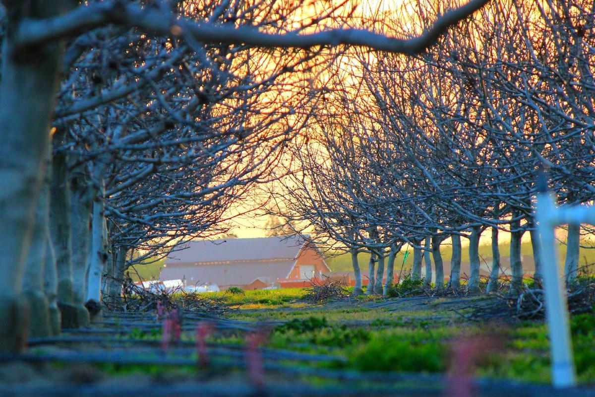 Electra Mining Africa Event Signals Industry Convergence and Growth ...